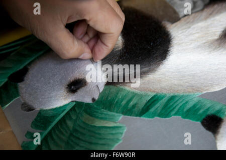 Chinese Shu embroidery - panda Stock Photo - Alamy