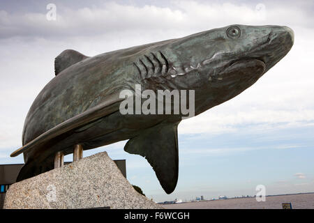 Shark sculpture The Deep Hull Stock Photo - Alamy