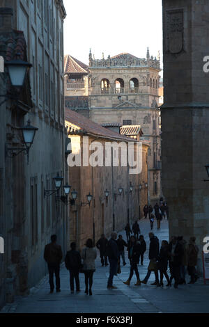 Palacio de Monterrey Salamanca Stock Photo - Alamy