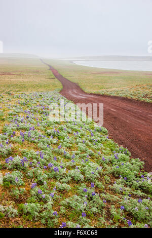 A vertical view of a sea surrounded by hills covered in greenery Stock ...