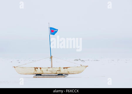 A white Umiak skin boat sits on skids on the sea ice with a flag flying ...