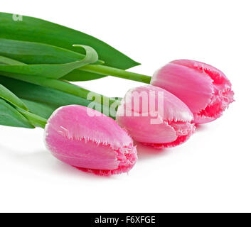 Bouquet of pink tulips on the background of old wooden boards with a ...