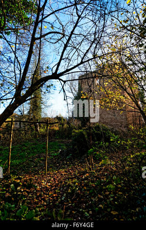 Avenbury St Marys church founded in 840 AD rebuilt in Norman times; the ...