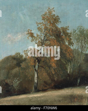 John Constable, Study of an Ash Tree, landscape painting 1801-1803 ...