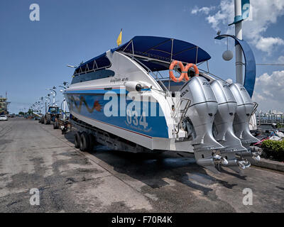 Cruise boat with triple outboard engines Stock Photo - Alamy
