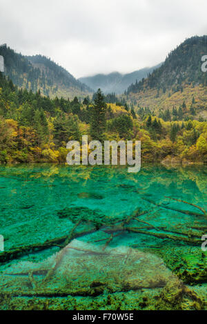 Multi-coloured Lake Jiuzhaigou National Park Sichuan, China LA007630 ...