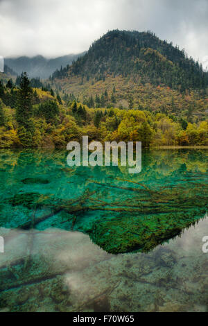 Jiuzhaigou, national park, Five Flowers Lake, China, Asia, province ...