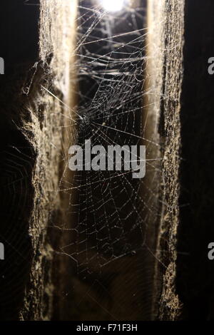 cobweb in dark cavity in room in house property at night Stock Photo ...