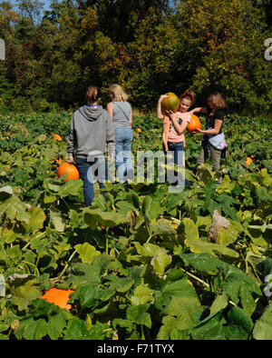 The Apple Works orchard and pumpkin farm in Trafalgar, Indiana Stock ...