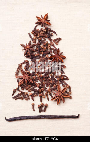 Star anise, a fragrant spice made from the fruit of the evergreen tree ...