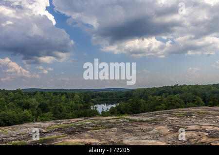 Found around Mount Arabia near Atlanta, GA Stock Photo - Alamy
