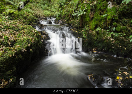 Waterfall in Gwaun Valley Pembrokeshire with autumn leaves Stock Photo ...