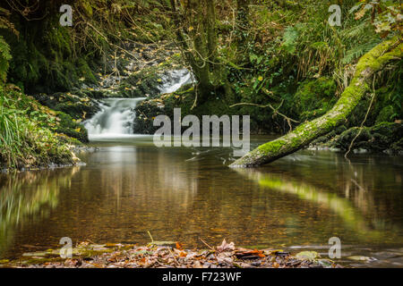 Waterfall in Gwaun Valley Pembrokeshire with autumn leaves Stock Photo ...