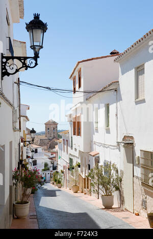 A flower in the street of Manilva, with the Church bells tower in the ...