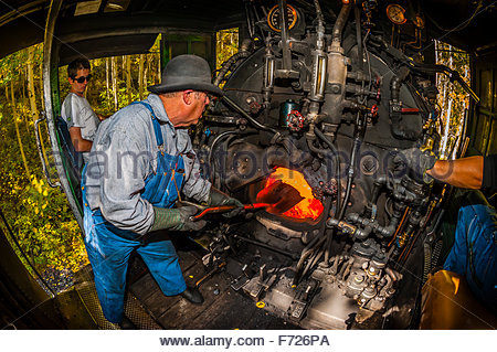 Fireman on Steam Train stoking the boiler. North York Moors Railway ...