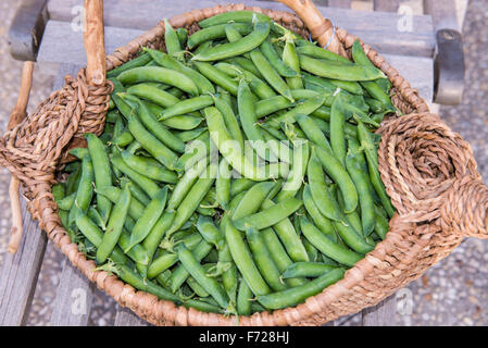 Garden fresh produce, Australia Stock Photo - Alamy