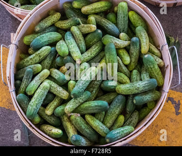 a bunch of Cucumbers for sale at the market Stock Photo - Alamy