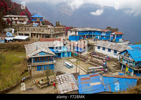 Nepal, Annapurna trek, Himalayas, Tadapani Stock Photo - Alamy