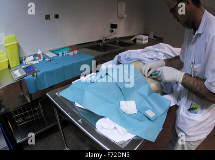 A doctor prepares a body for organ extraction in a hospital morgue in ...