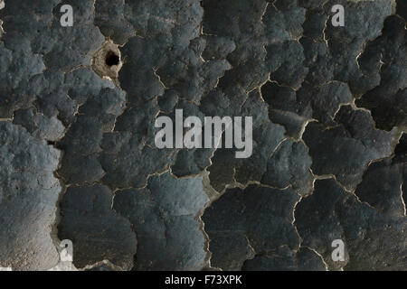 Damaged, detached & cracked wallpainting chips from 'Hero and Leander ...