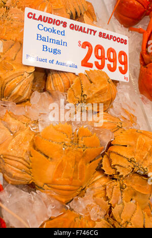 Balmain bugs butterfly fan lobsters ibacus peronii cooked and frozen ...