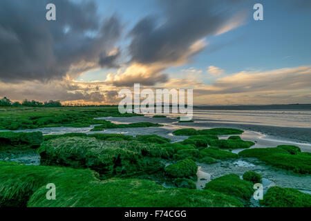 Solway Firth salt Marsh estuary in Cumbria situated in North West ...
