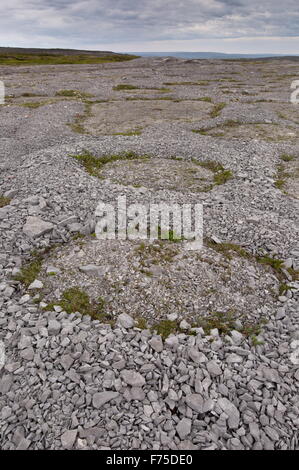 Frost polygons and other permafrost effects on the Ordovician limestone ...