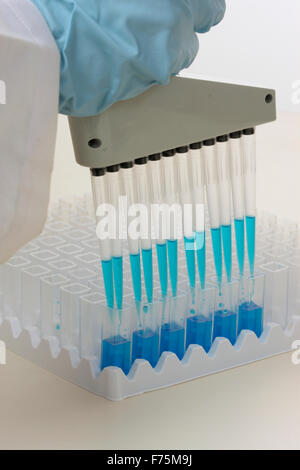 Laboratory worker using pipette Stock Photo - Alamy