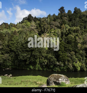 Paengaroa Scenic Reserve is situated on the banks of the Hautapu River ...