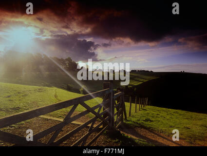 Devil's Kneading Trough, Wye Downs, Kent, England, 2020. Photo by Akira ...