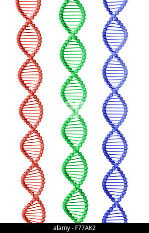 DNA structure model on white Stock Photo - Alamy
