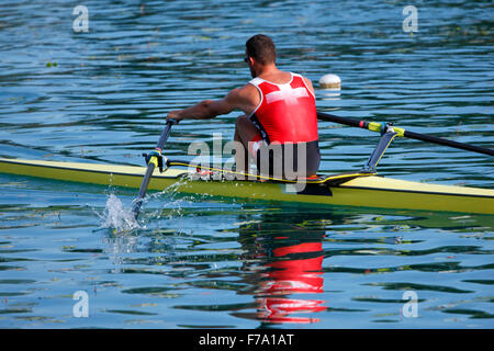 A single rower training his rowing in a racing shell on the Nile River ...
