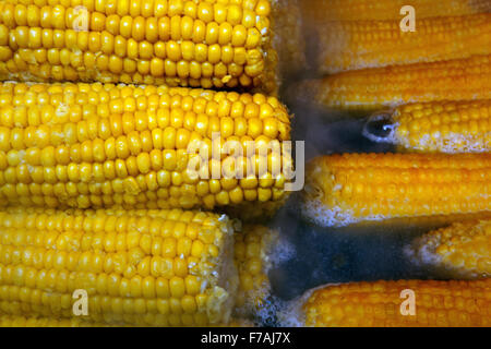 maize cob, corn on the cobs Stock Photo - Alamy