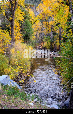 The Cimarron River flows through New Mexico's Cimarron Canyon State ...