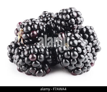 Fresh blackberry isolated on white background with copy space for your ...