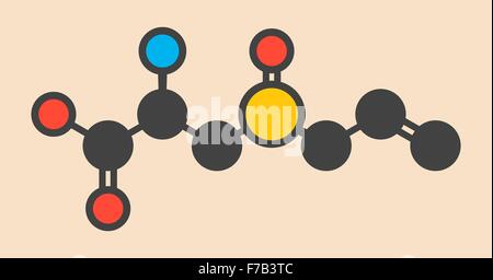 Alliin garlic molecule. Skeletal formula Stock Vector Art ...