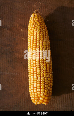 Ear of Corn Stock Photo - Alamy