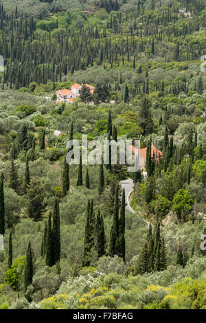 Corfu Olive Trees Stock Photo - Alamy