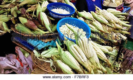 Choclo, or Peruvian large kernel corn, as seen at Lima's annual Stock ...