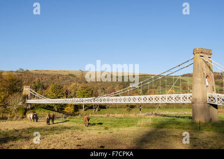 Horses by Chainbridge footbridge across the River Tweed. Melrose ...