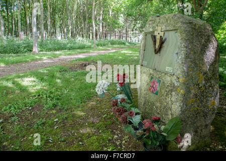 Battle site and woodland burial at Hill 112, Operation Jupiter - a ...