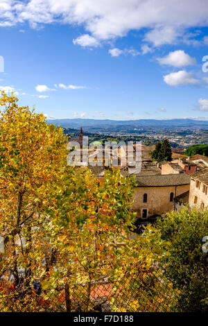 View from Perugia hill top town in Umbria Italy trees in foreground ...
