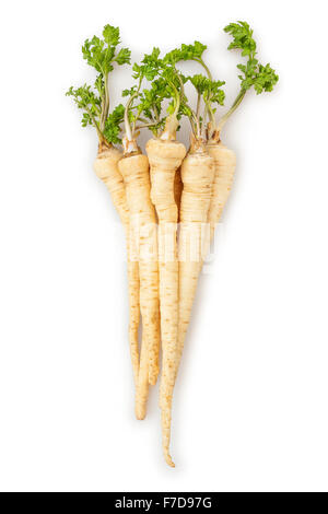Bunch of fresh parsley stem isolated on black background Stock Photo ...
