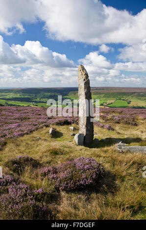 blakey ridge standing stone (north yorkshire moors Stock Photo - Alamy