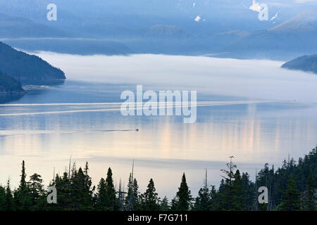 View of Douglas Channel from Bish Creek Forest Service road, Kitimat ...