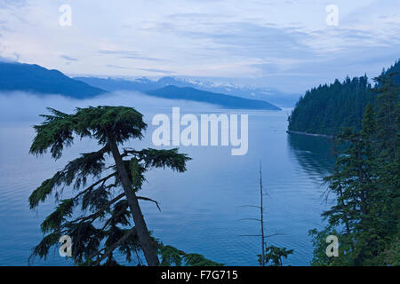 View of Douglas Channel from Bish Creek Forest Service road, Kitimat ...