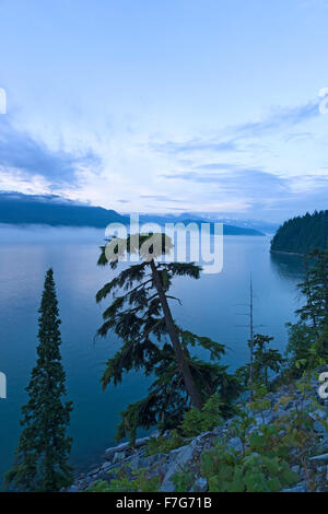 View of Douglas Channel from Bish Creek Forest Service road, Kitimat ...
