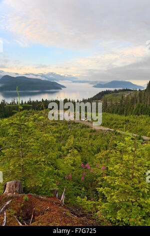 View of Douglas Channel from a clearcut on Bish Creek Forest Service ...