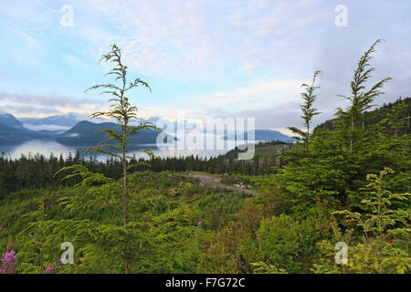 View of Douglas Channel from a clearcut on Bish Creek Forest Service ...
