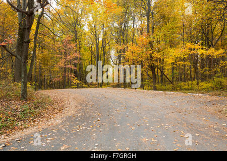 Fall color in Virginia Stock Photo - Alamy